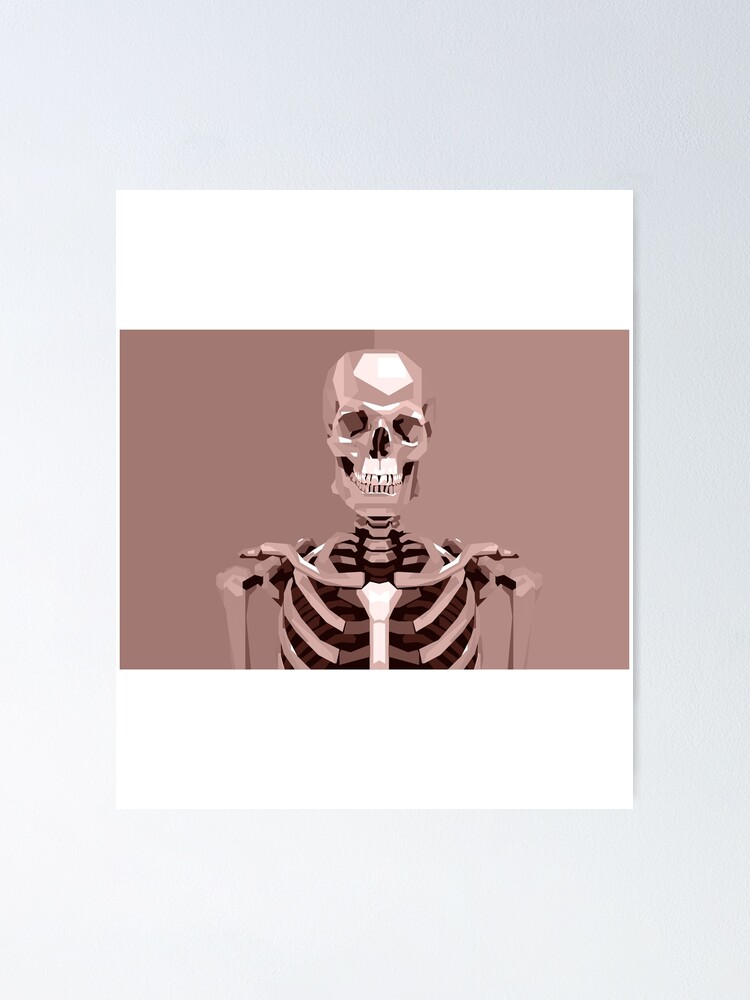 "Human Skeleton - Pale Grey Reflection" Poster by uberanatomy | Redbubble