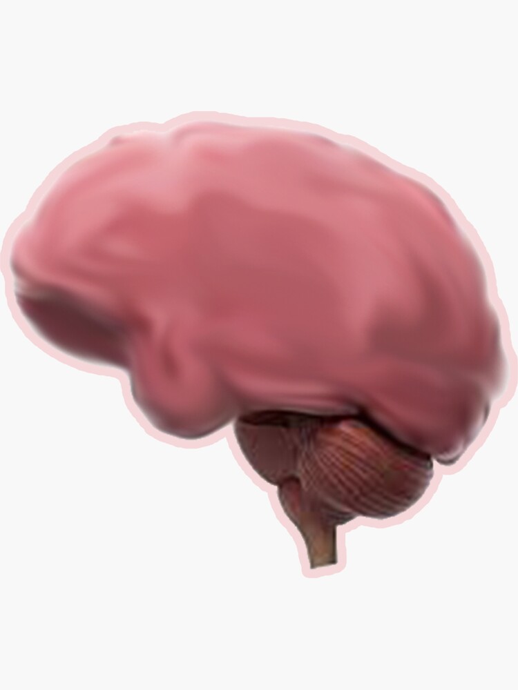 "smooth brain" Sticker for Sale by SmoothArtNelly | Redbubble