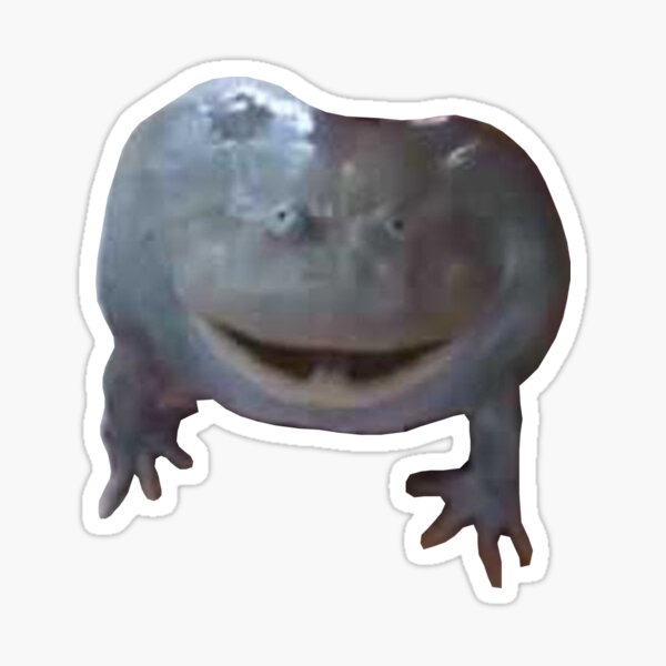 "Screaming Frog meme" Sticker for Sale by lillyelina | Redbubble
