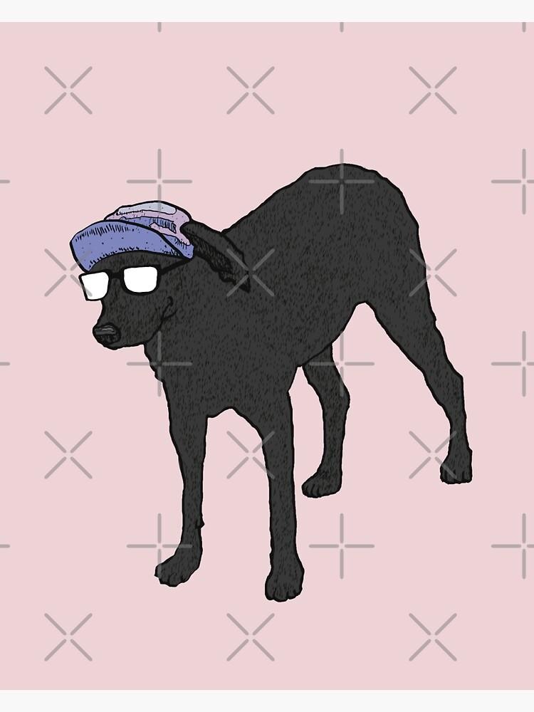 "Confirmo" Sticker for Sale by ParyDarian | Redbubble