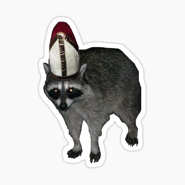 "Raccoon Pope!!" Sticker for Sale by freakydutchkid | Redbubble
