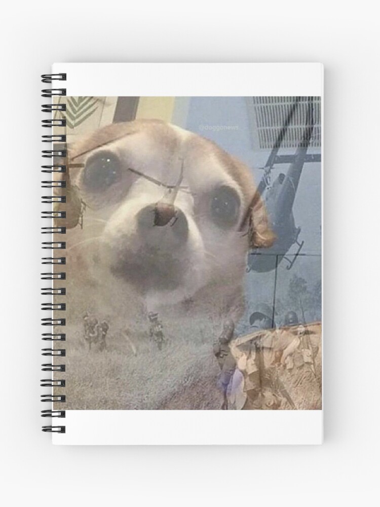 Dog Flashback Meme