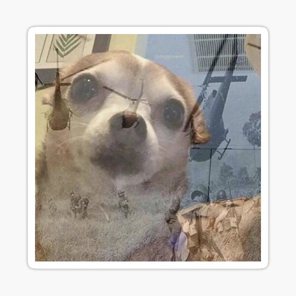 "Chihuahua with PTSD" Sticker for Sale by Danknesshazard | Redbubble