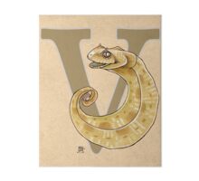 "V is for VIPER" by busymockingbird | Redbubble