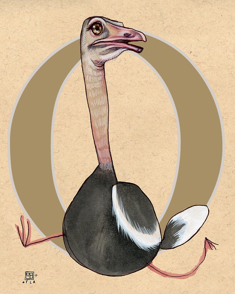 "O is for OSTRICH" by busymockingbird | Redbubble