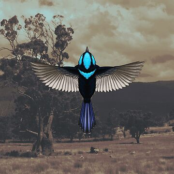 "Superb Fairy-wren - Australian Bird" Sticker for Sale by 48Tuesdays ...