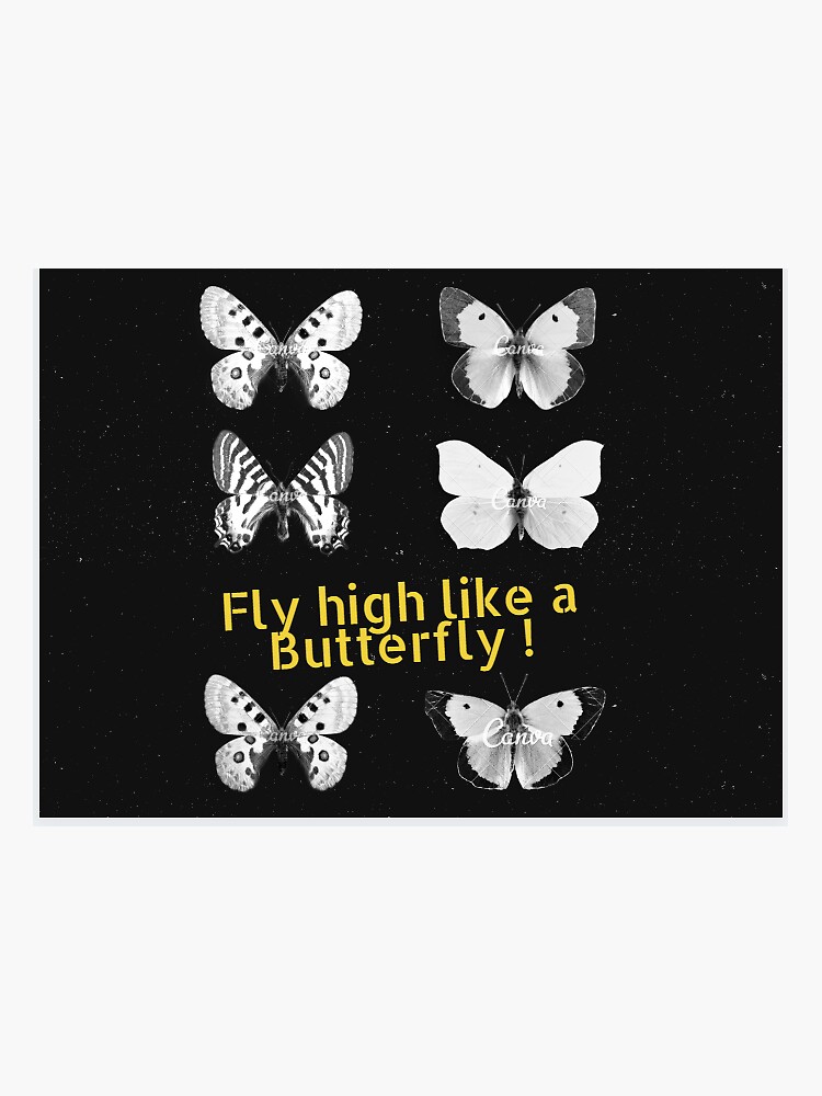 "Fly like a butterfly !" Sticker by msd2299 | Redbubble