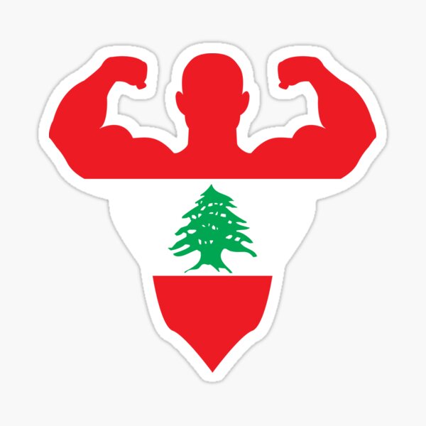 "Stay Strong Beirut" Sticker for Sale by Tridev-Designs | Redbubble