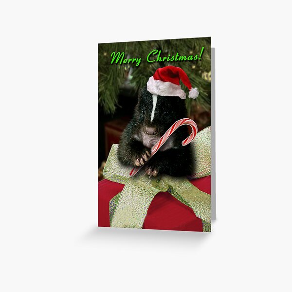 "Merry Christmas Skunk" Greeting Card for Sale by jkartlife | Redbubble