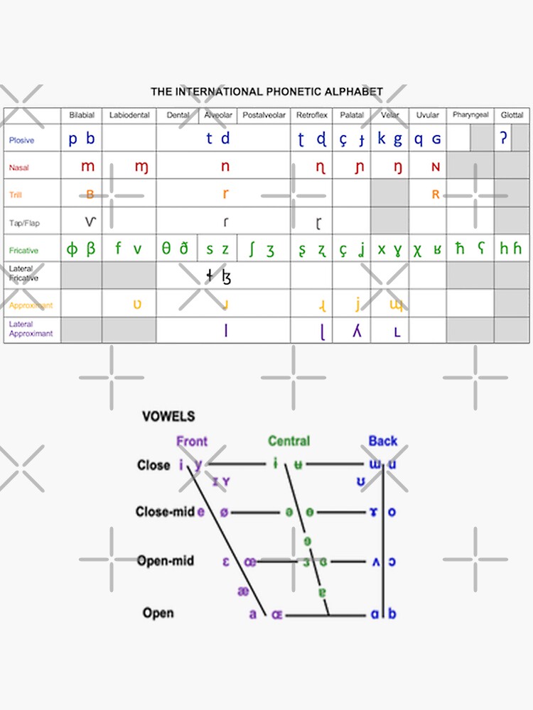 "IPA Consonants & Vowels" Sticker for Sale by Bododobird | Redbubble