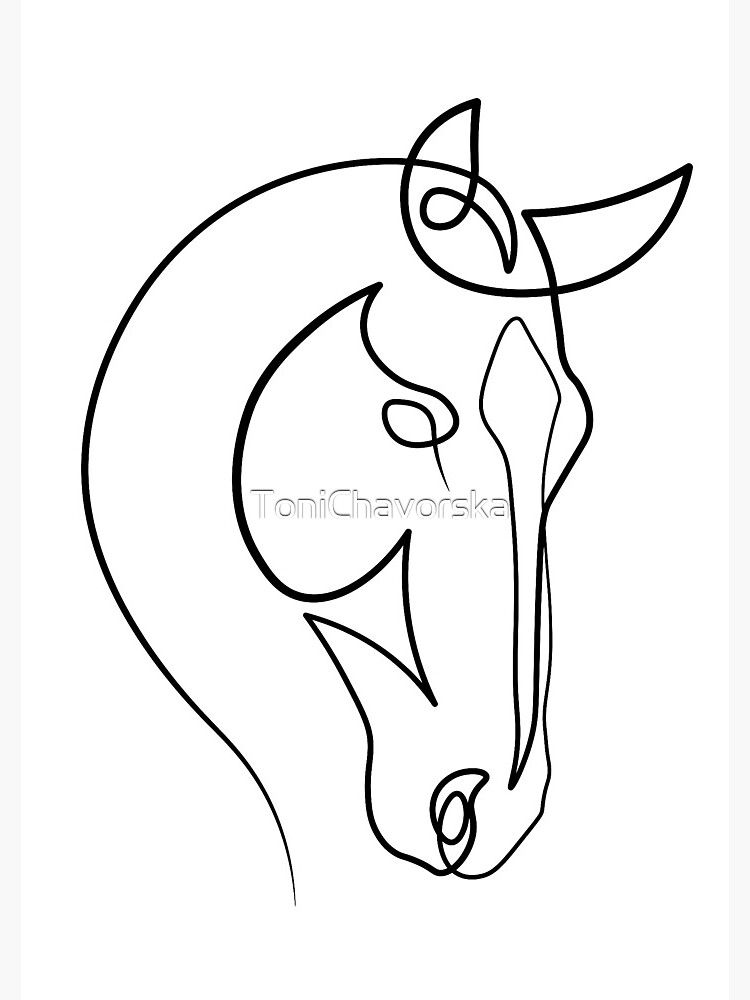 Dessins De Visages De Chevaux