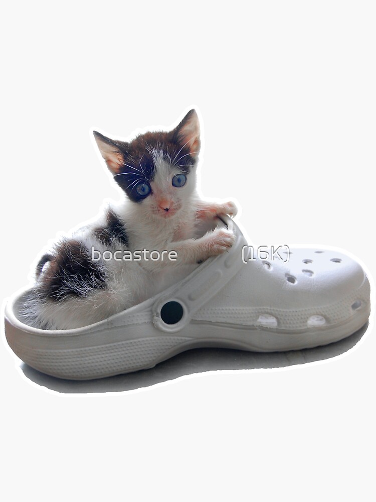 "cat with crocs" Sticker for Sale by bocastore | Redbubble