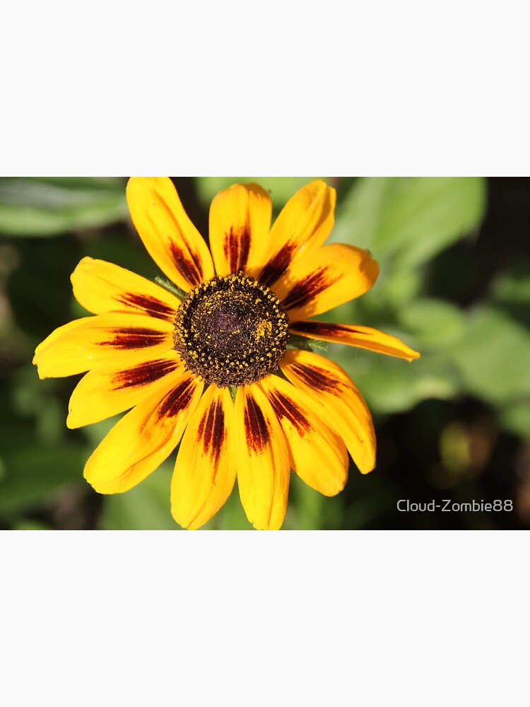 "Sunshine Delight " Sticker by Cloud-Zombie88 | Redbubble