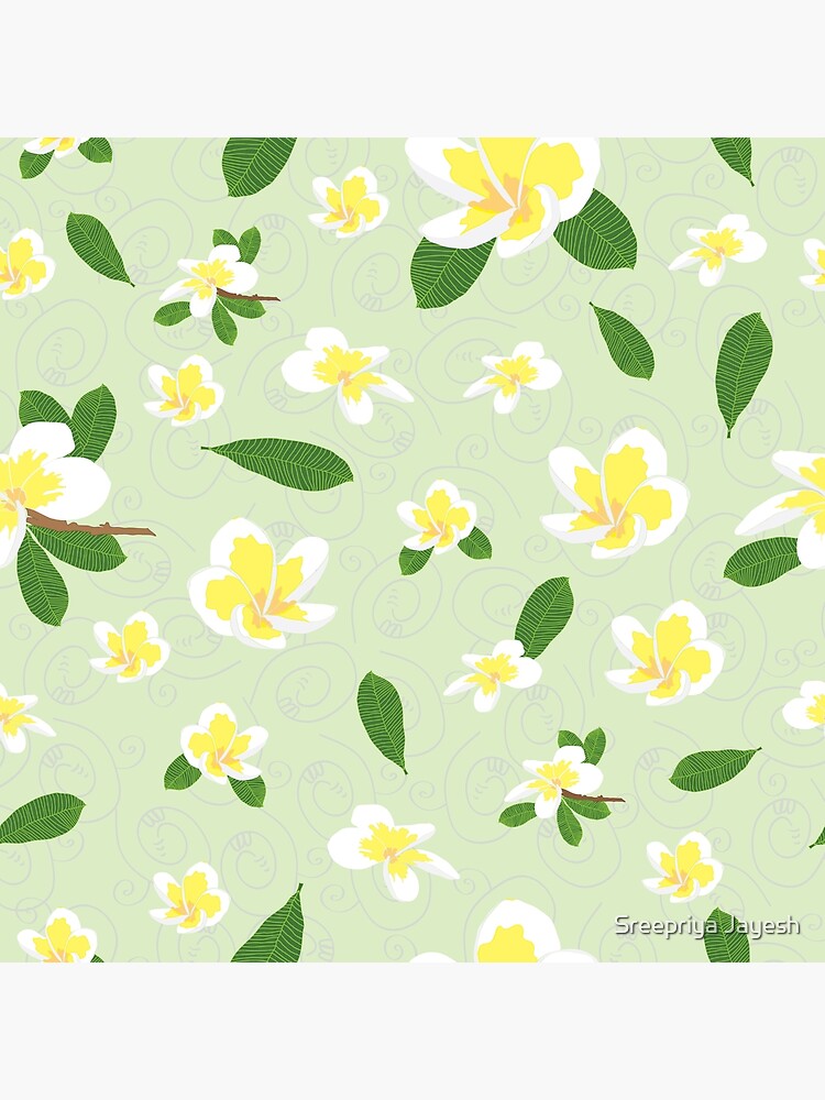 "White Plumeria flower-chembakam-design for onam trends" Photographic ...