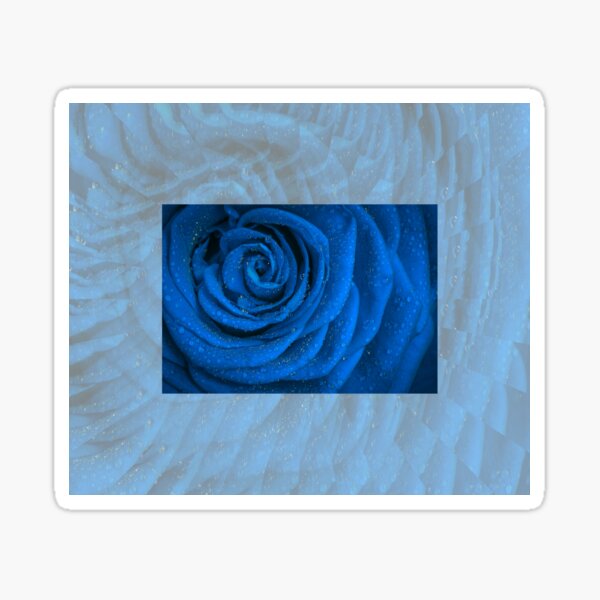 "amazing blue rose" Sticker for Sale by RawahIsleem | Redbubble