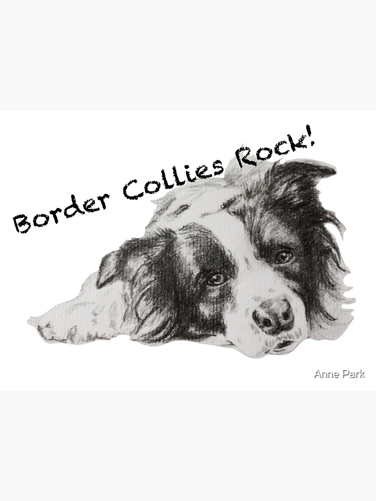 "Border Collies Rock" Poster by archiesgirl | Redbubble