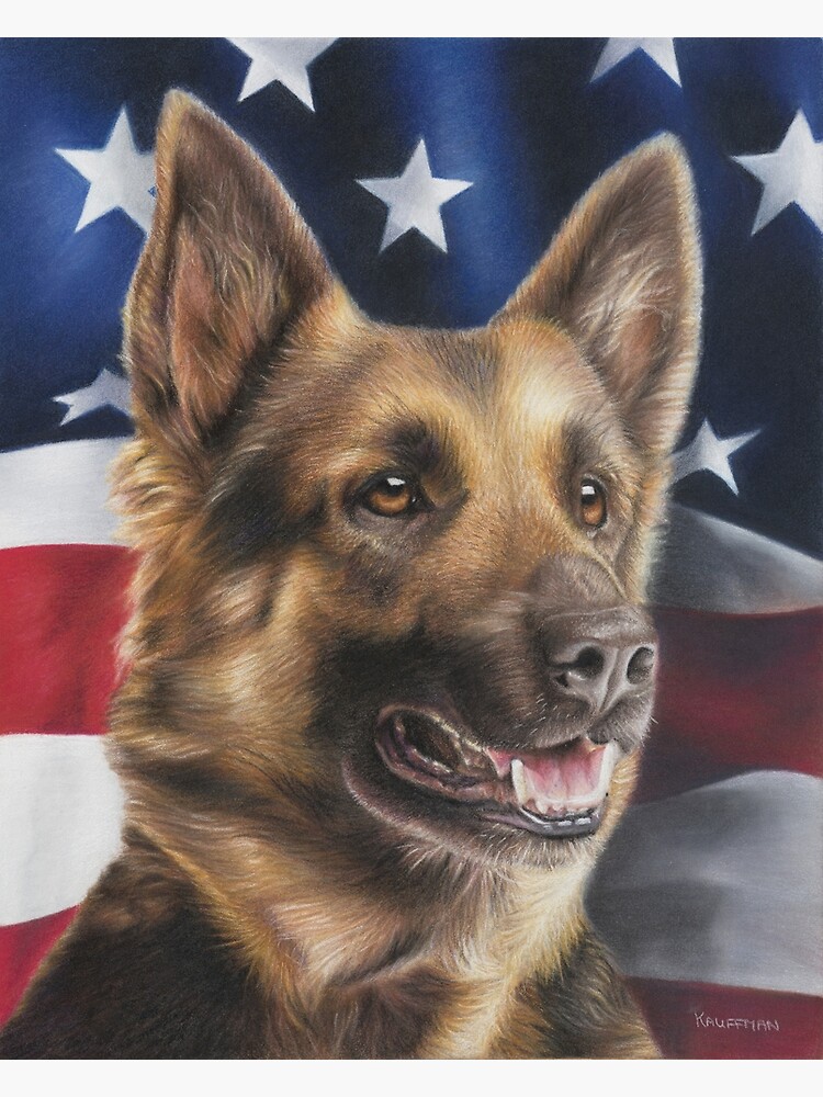 "Hero German Shepherd Portrait" Poster by RenaissancePup | Redbubble