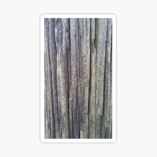 "Grain Bark" Sticker for Sale by AngInspiresShop | Redbubble