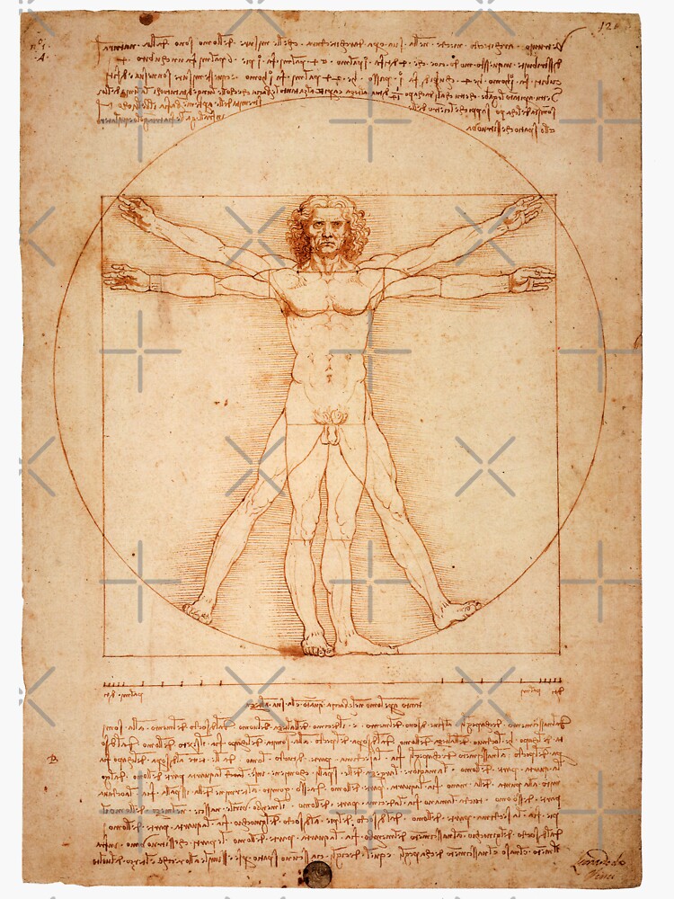 "Leonardo Da Vinci The Vitruvian Man - 1940" Sticker for Sale by Pikokk ...