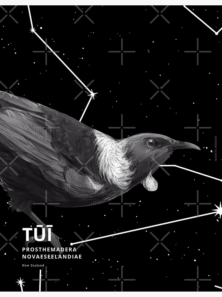 "Birds - Tui " Sticker for Sale by nishita-wojnar | Redbubble