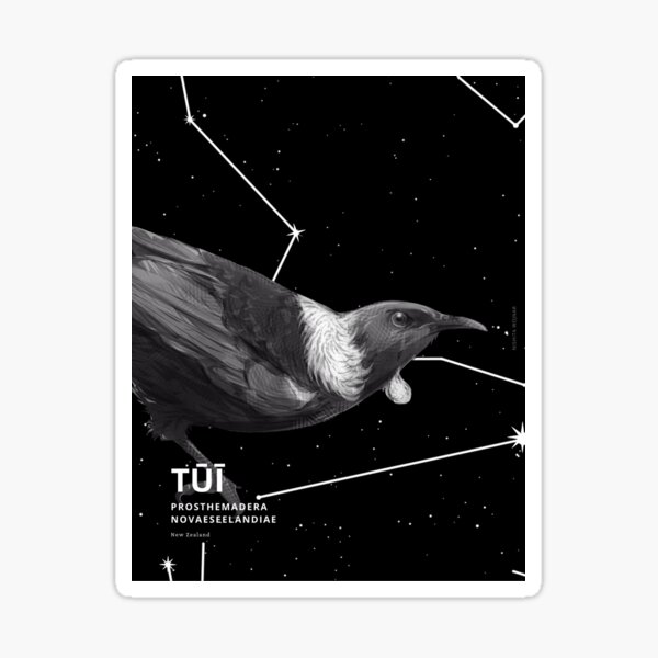 "Birds - Tui " Sticker for Sale by nishita-wojnar | Redbubble