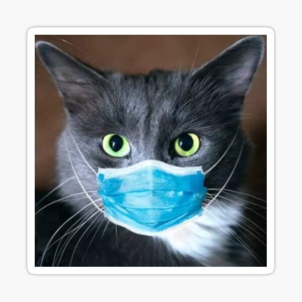 "mask cat" Sticker for Sale by sourav1993 | Redbubble