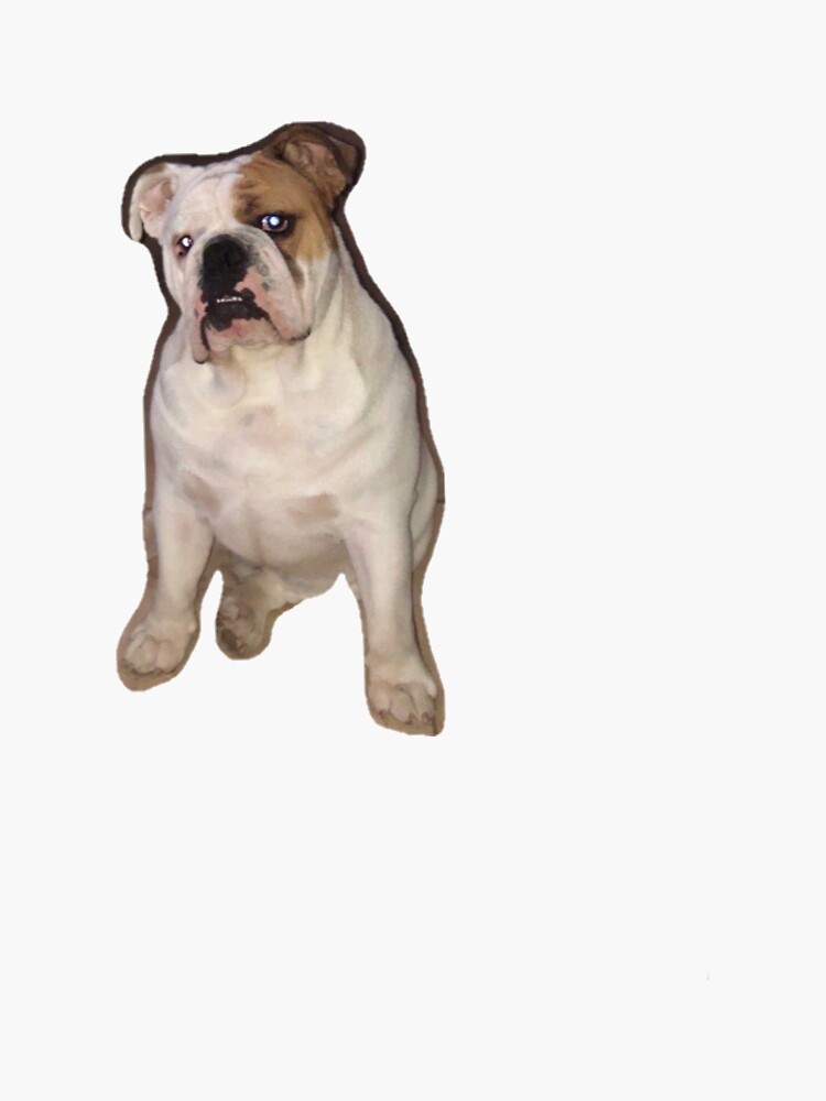 "Pesci " Sticker by KristenErin | Redbubble