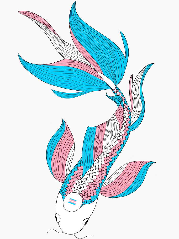 "Trans Pride Koi Fish" Sticker for Sale by lexijadebb | Redbubble