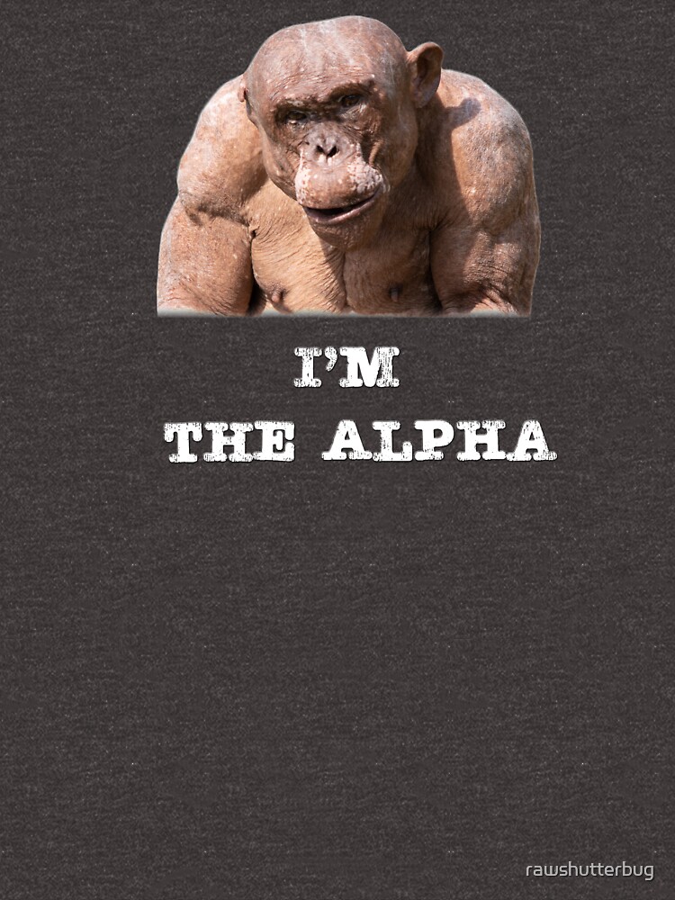"Jambo The Hairless Chimp I'm The Alpha (White Text)" T-shirt for Sale ...