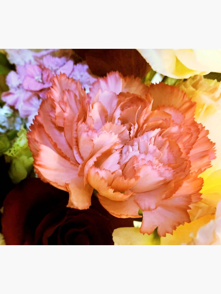 "carnation" Poster by Angela0929 | Redbubble