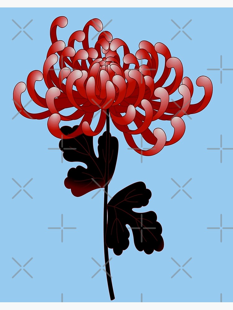 "Japanese red watercolour kiku (chrysanthemum) flower " Art Board Print ...