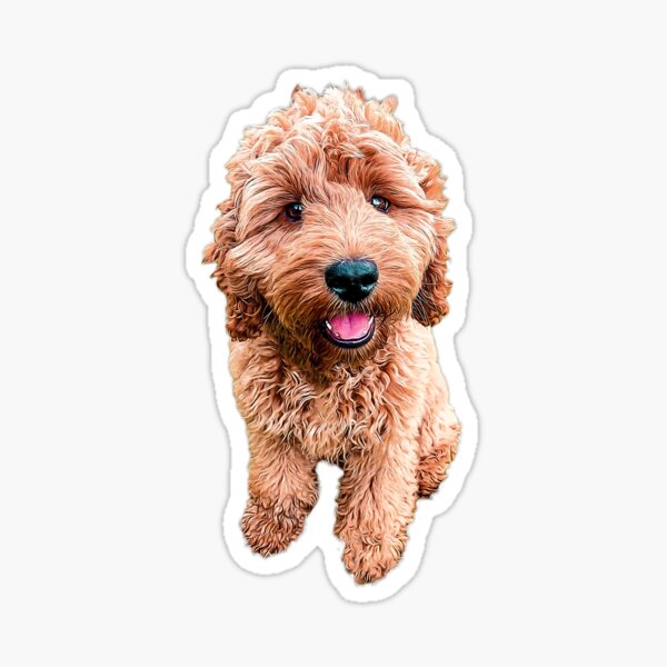 "Cockapoo Cockerpoo Cute Doodle Puppy Dog" Sticker by Elarex | Redbubble