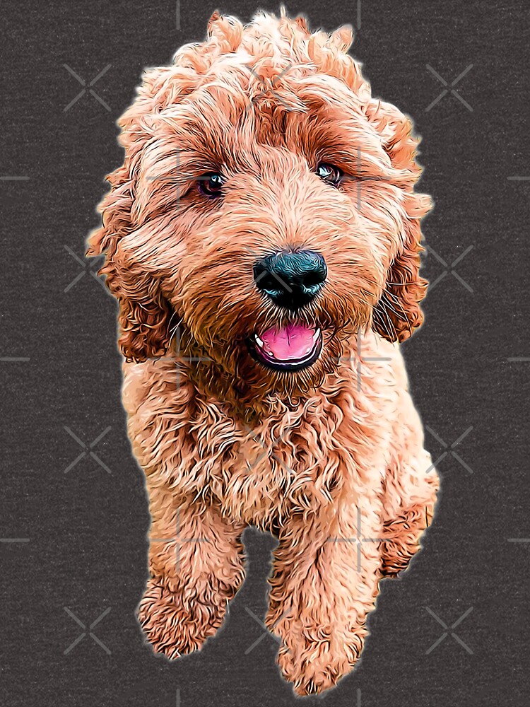 "Cockapoo Cockerpoo Cute Doodle Puppy Dog" Pullover Hoodie for Sale by ...