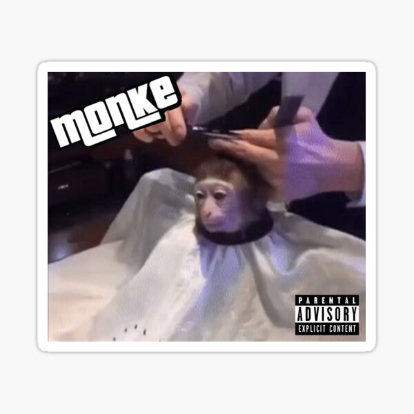 Monkey Haircut Meme By RaghunathPrabhakar On DeviantArt, 47% OFF
