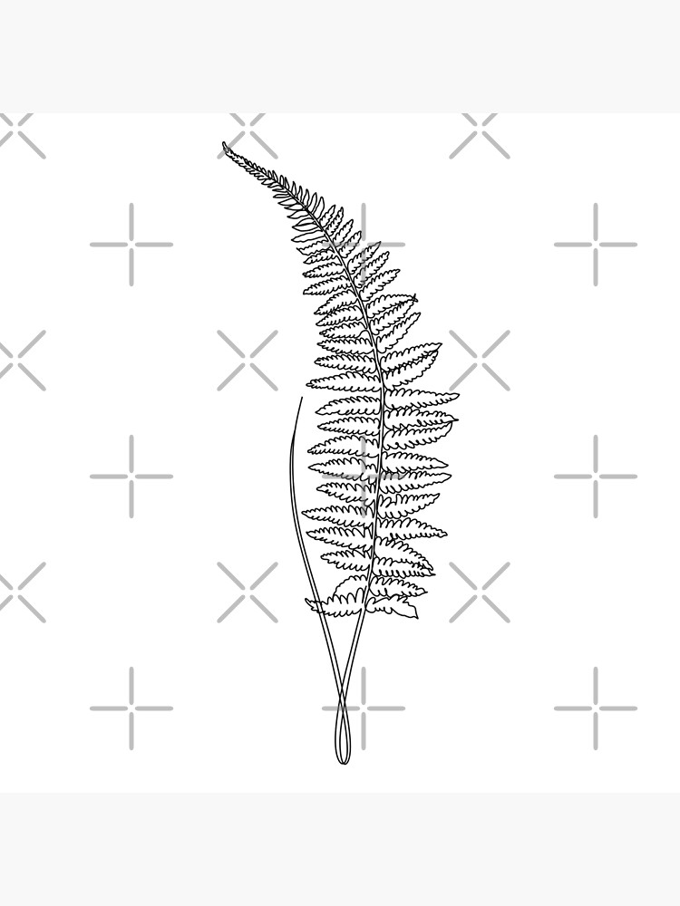 "Fern Line Art . One Line Nature drawing" Art Print for Sale by ...