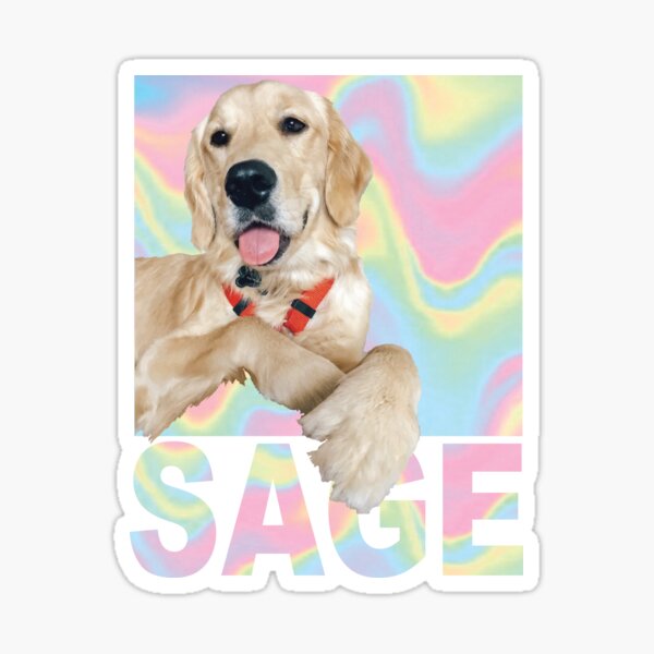 "Sage!" Sticker for Sale by danibreann | Redbubble