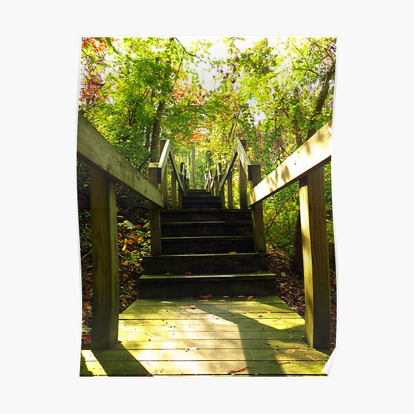 "Ascend" Poster for Sale by dahlymama | Redbubble