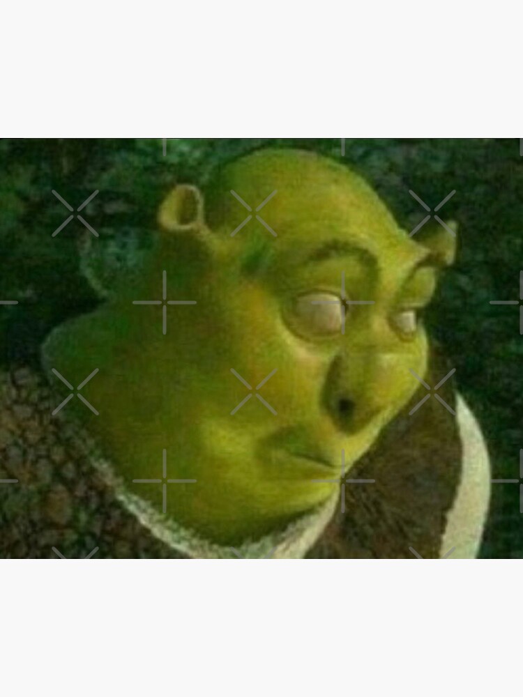 "Shrek “oop” meme" Sticker for Sale by caitlinfindlay | Redbubble