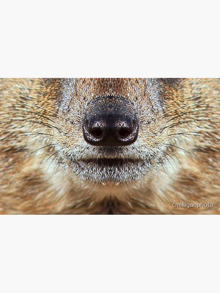 "Yellow Mongoose Face Photo Facemask" Sticker for Sale by ...