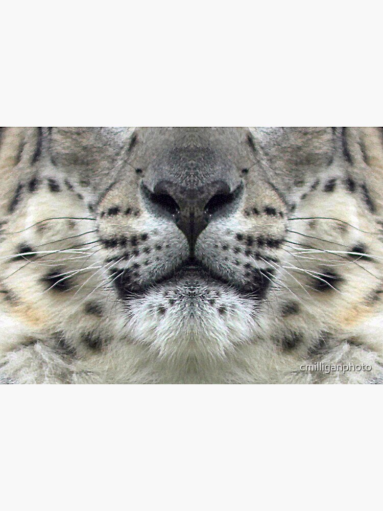 "Snow Leopard Face Photo Facemask" Sticker by cmilliganphoto | Redbubble