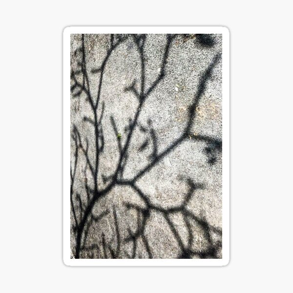 "Tree Shadow" Sticker for Sale by koffee4ever | Redbubble