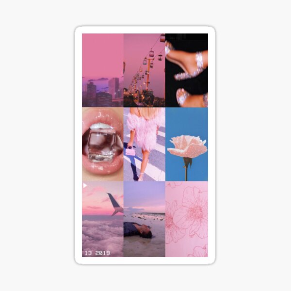 "Pink Aesthetic Collage " Sticker for Sale by lilyrhudy3 | Redbubble