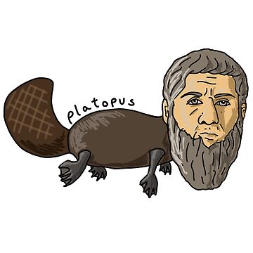 Platopus Sticker For Sale By Bessiemoo Redbubble