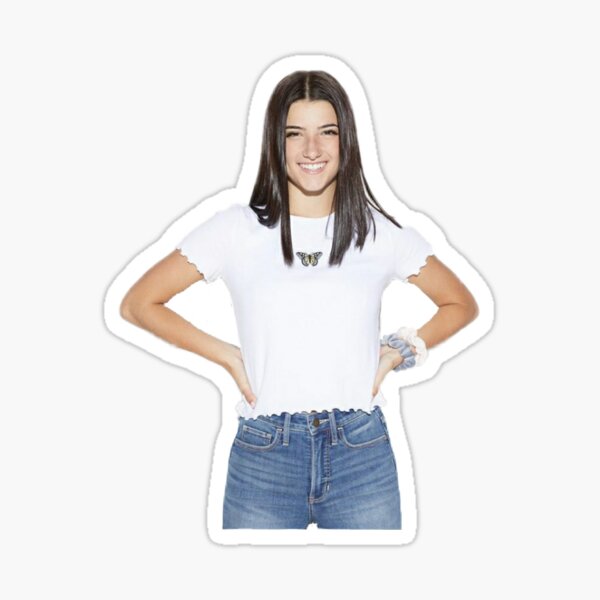 "Charli" Sticker for Sale by letayl3 | Redbubble