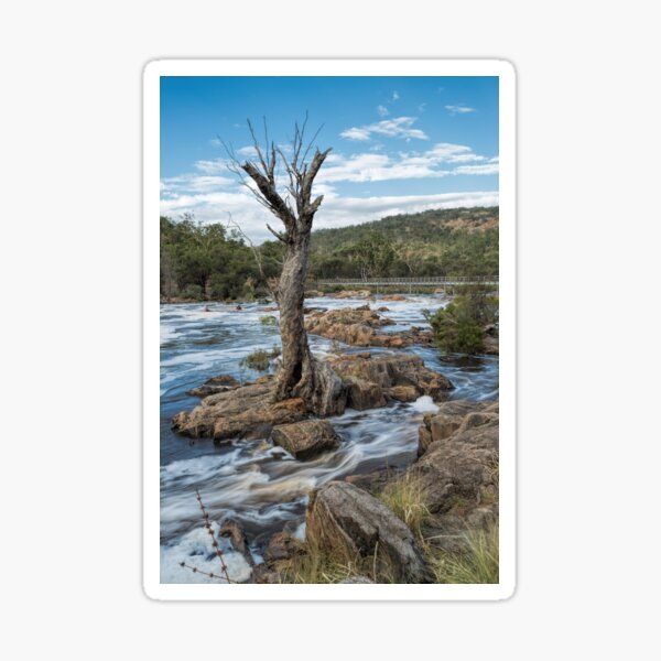 "Sentinel" Sticker for Sale by Cadman | Redbubble