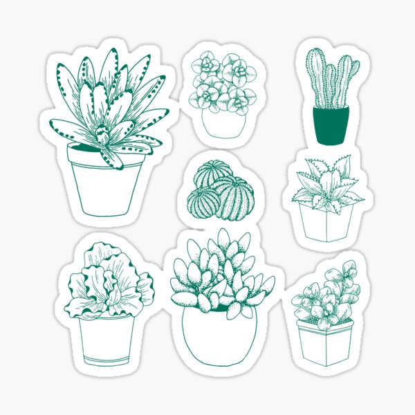 "Succulents and Cactus in Dark Emerald Green" Sticker by cation-studio ...