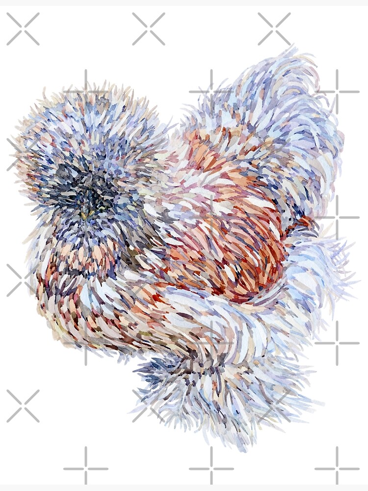 "Maple Taffy the Silkie Chicken" Poster for Sale by becca-boyce | Redbubble