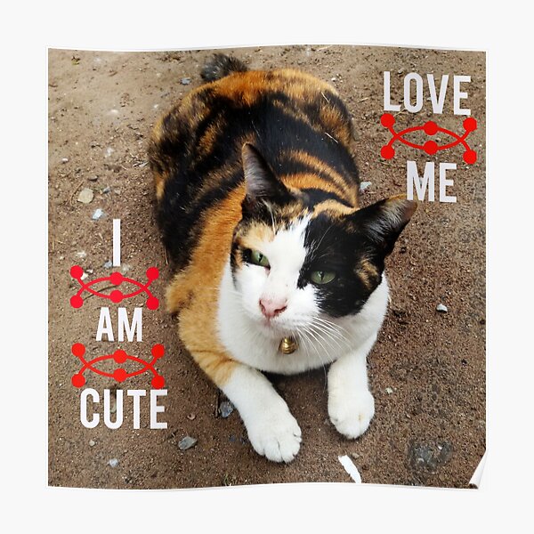 Cat Slogan Posters | Redbubble