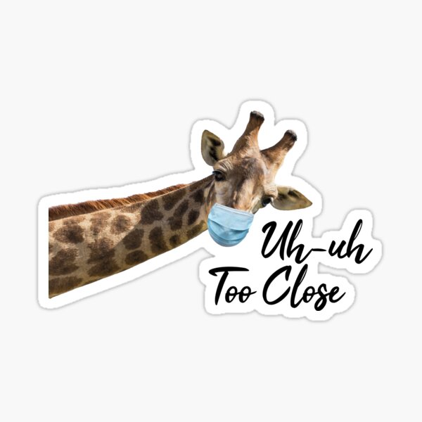 "Giraffe - Uh uh, too close" Sticker for Sale by csaron92 | Redbubble