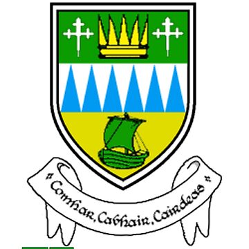 "County Kerry Coat of Arms" Essential T-Shirt for Sale by CrankyOldDude ...